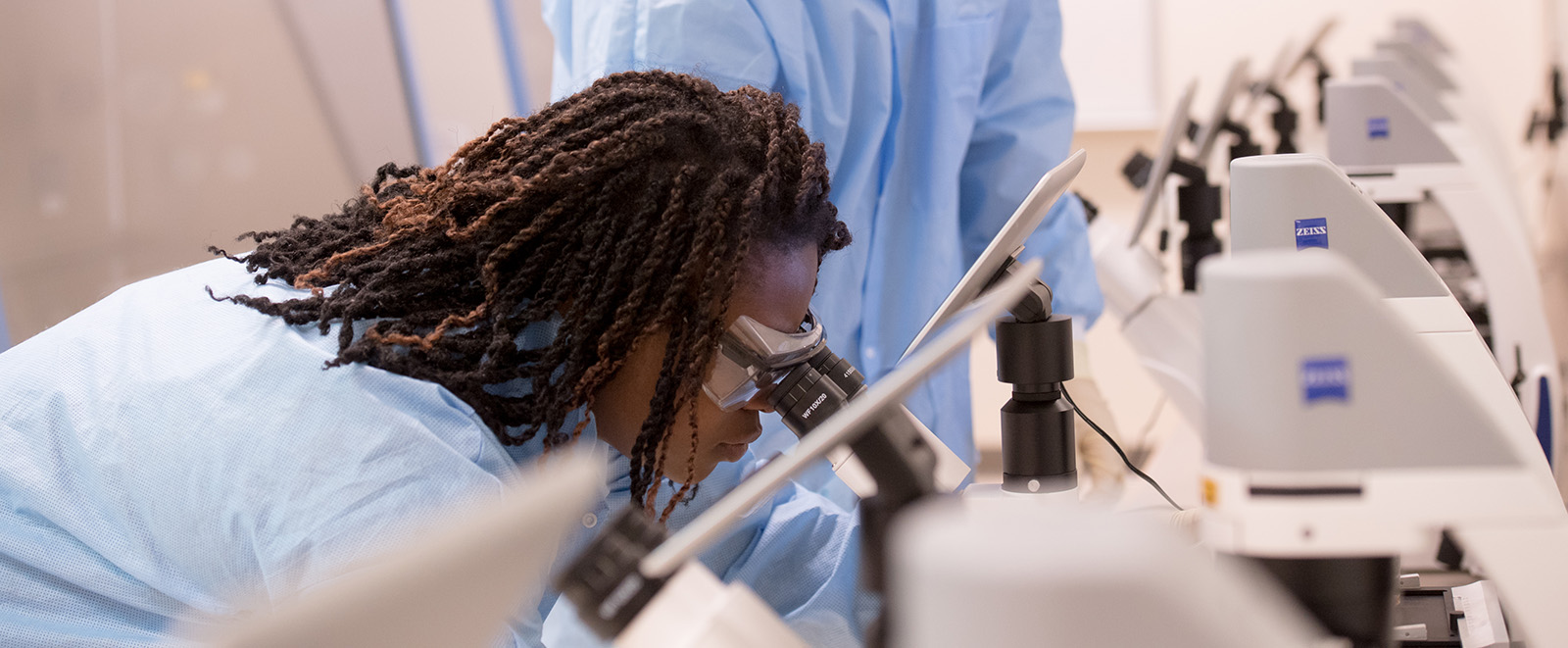 MAEBio - Department of Mechanical & Aerospace Engineering